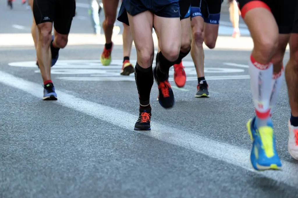 Best Run Clubs in Sydney | City Quokka | City Quokka